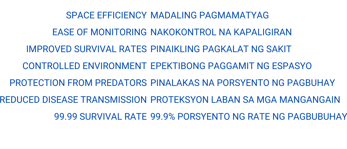 Ewunuga Farms – Catfish Pantat Fingerlings Farm Iloilo, Philippines.